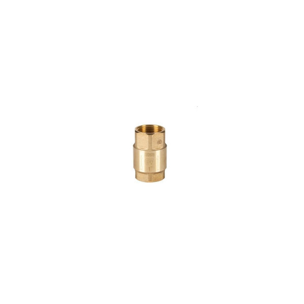 GENEBRE BRASS SPRING TYPE CHECK VALVE FXF PN12 65mm 3121 10